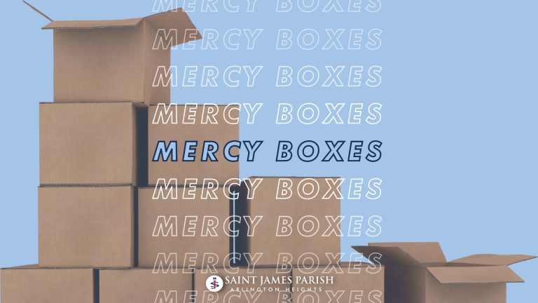 Mercy Boxes Food Drive | Saint James Parish | Arlington Heights ...