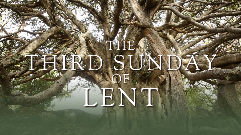 Third Sunday of Lent | Saint James Parish | Arlington Heights Catholic ...
